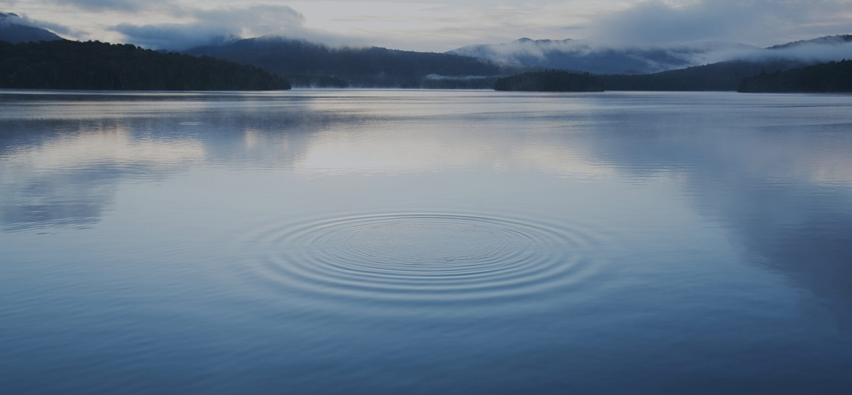 High quality water traps made of recycled plastics - Prevex