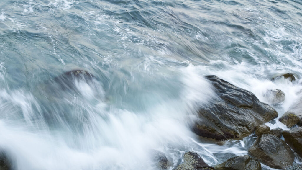 Prevex reduced CO2 emissions more than expected - Prevex